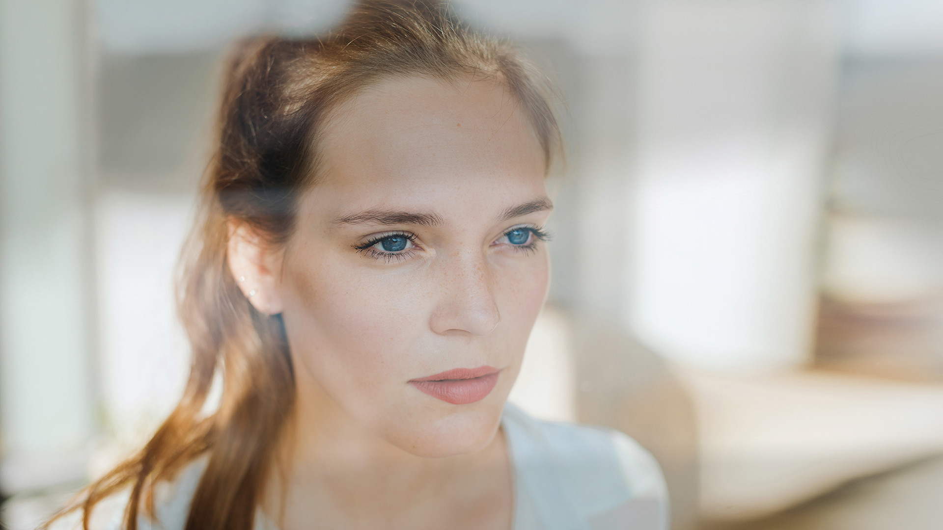 Shading systems | Pellini